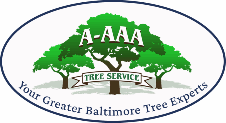 A-AAA Tree Service | Tree Removal, Trimming & Storm Cleanup in the ...